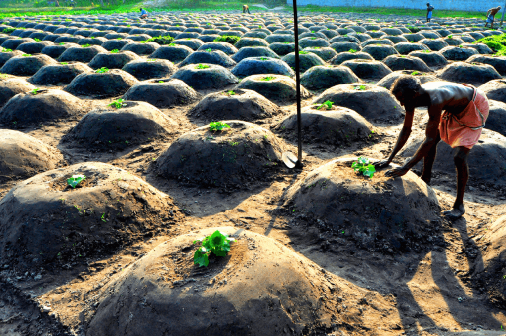 Farm Plan Based Production Programme including Pre-Production Support ...